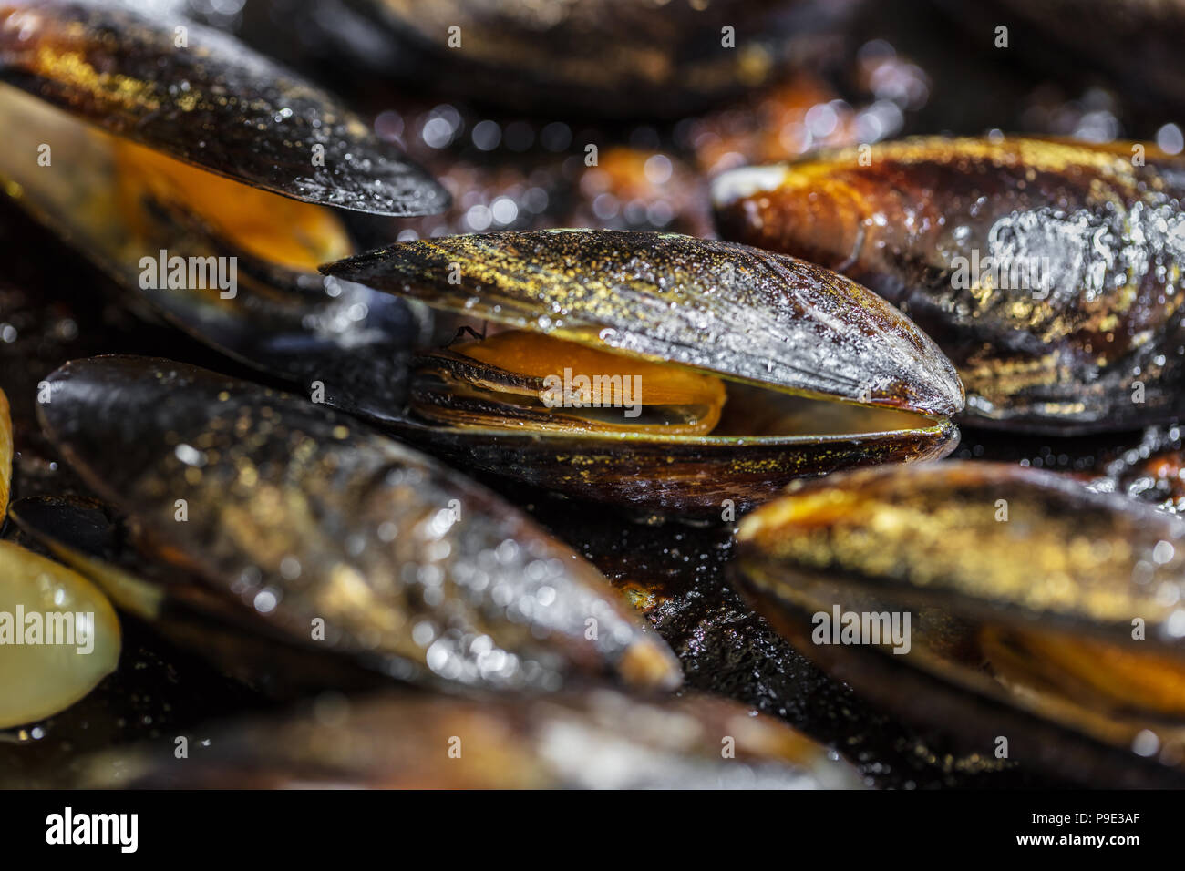 food background, texture of cooked mussels closeup Stock Photo - Alamy