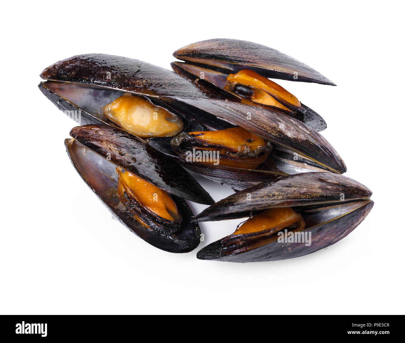 cooked mussels close-up on white isolated background Stock Photo - Alamy