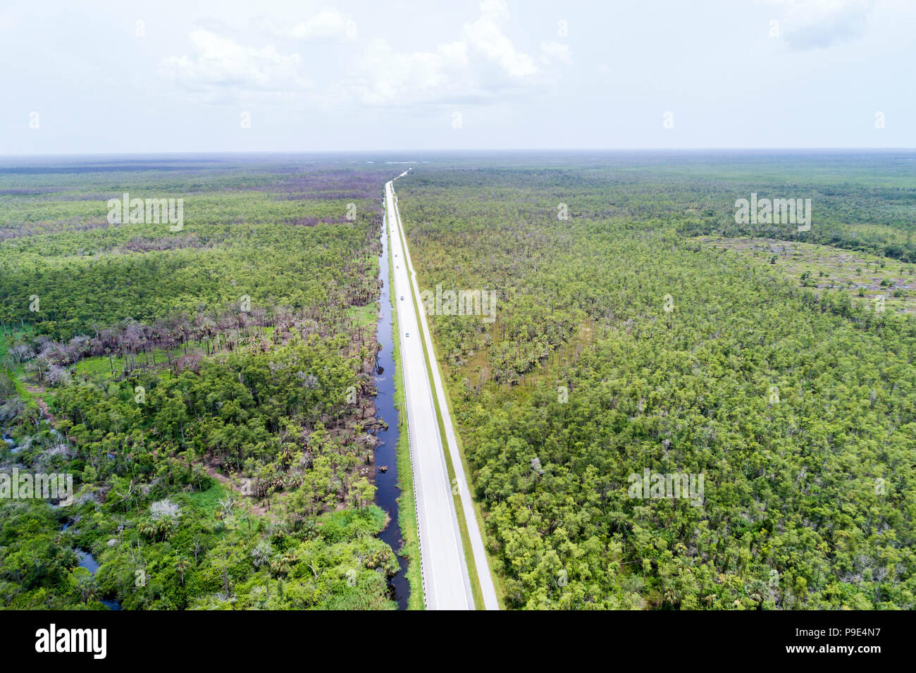 Naples Florida,Tamiami Trail US route 41 highway,Collier-Seminole State ...