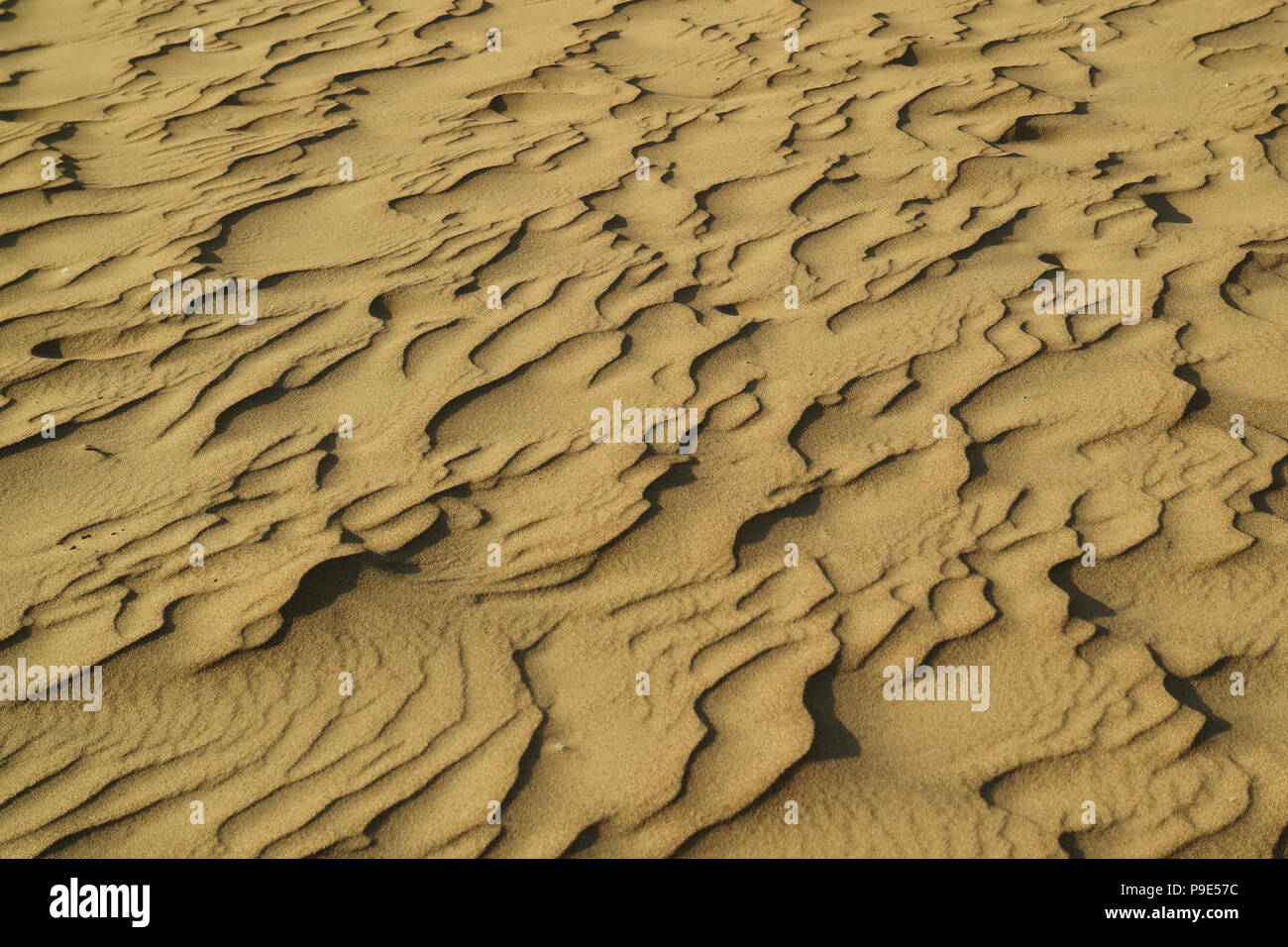 Gorgeous sand ripple pattern on the sand dune of Huacachina desert, Ica ...