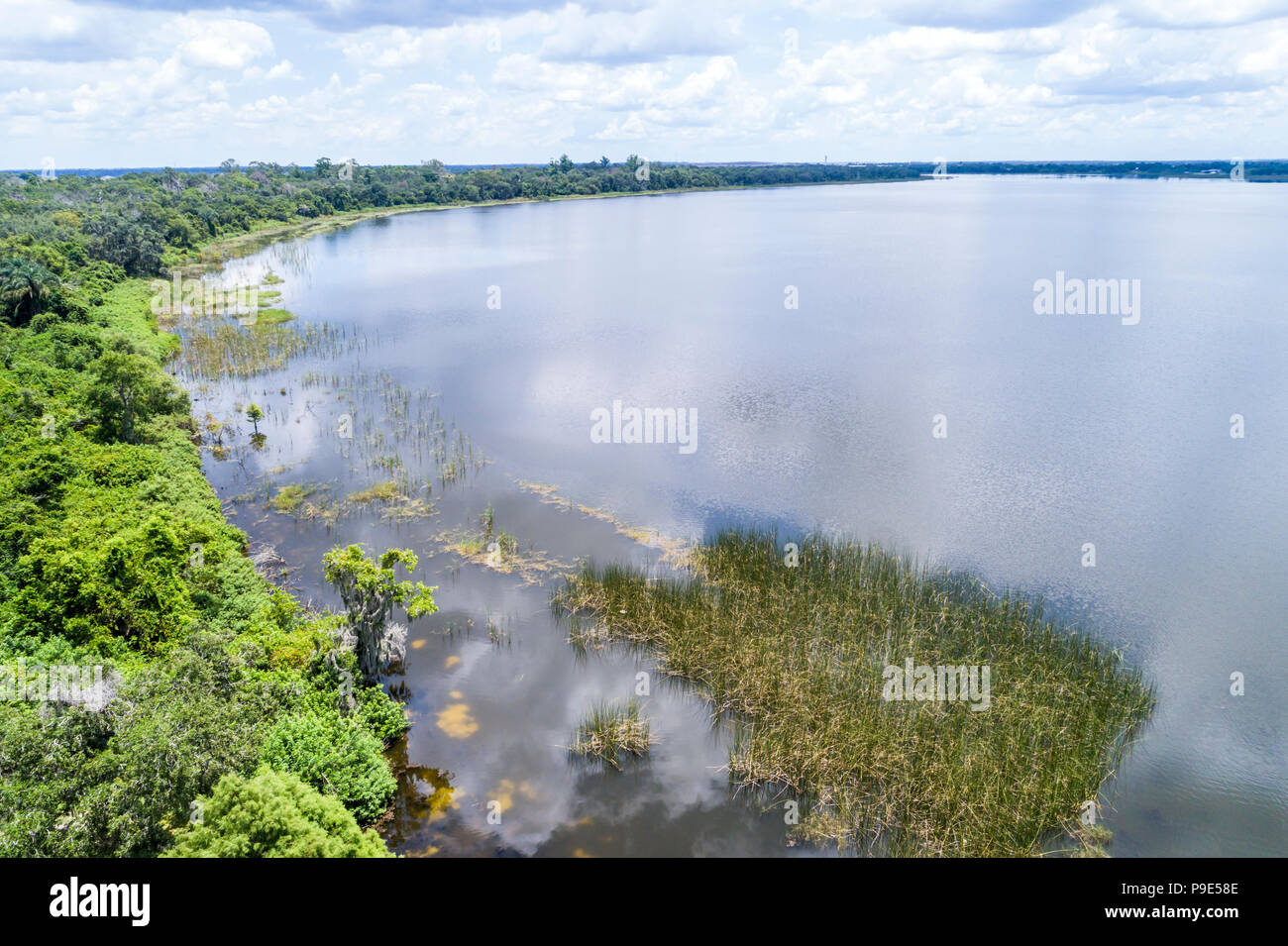 Orlando Florida,Lake Alfred,Lake Rochelle,Chain of Lakes. aerial ...