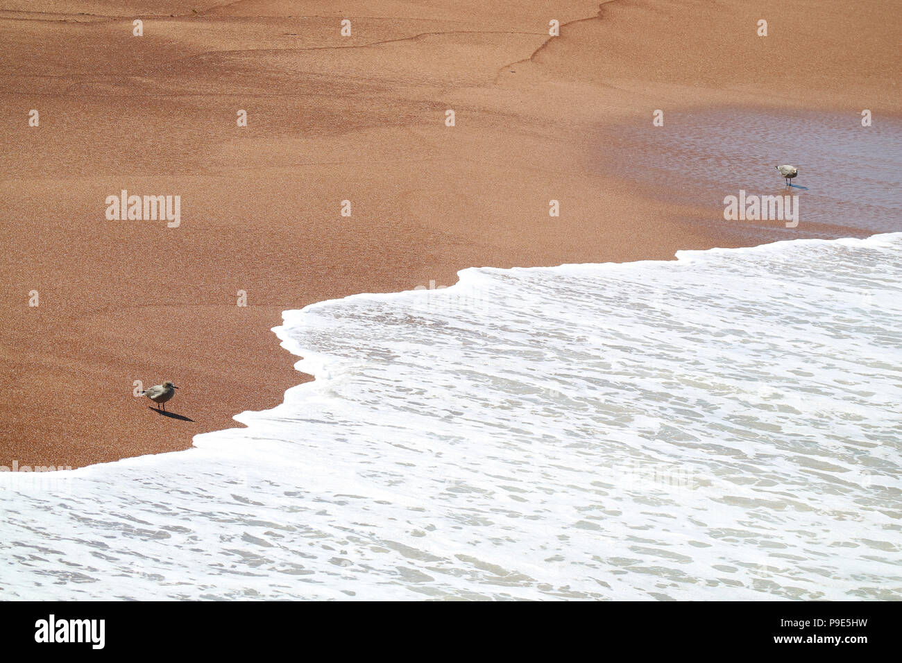 Playa roja peru hi-res stock photography and images - Alamy