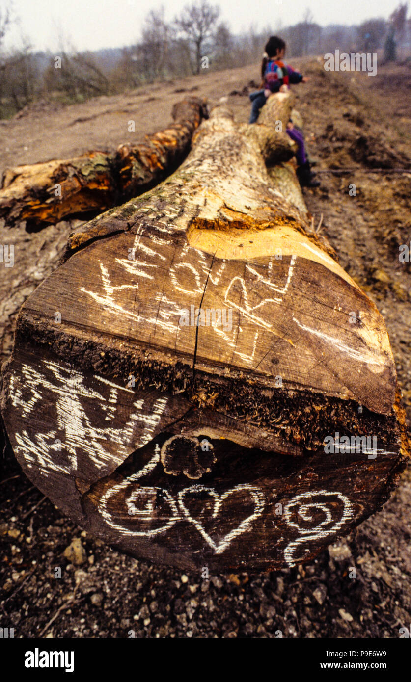 Environmental tree sitting protest hi-res stock photography and images ...