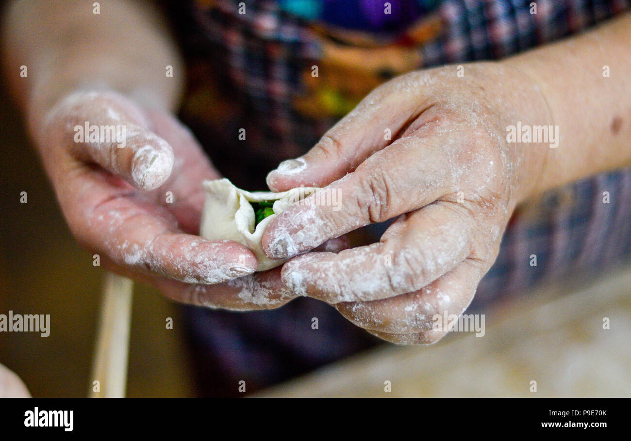 Chinese Family Making Chinese Dumpling Stock Photo - Alamy