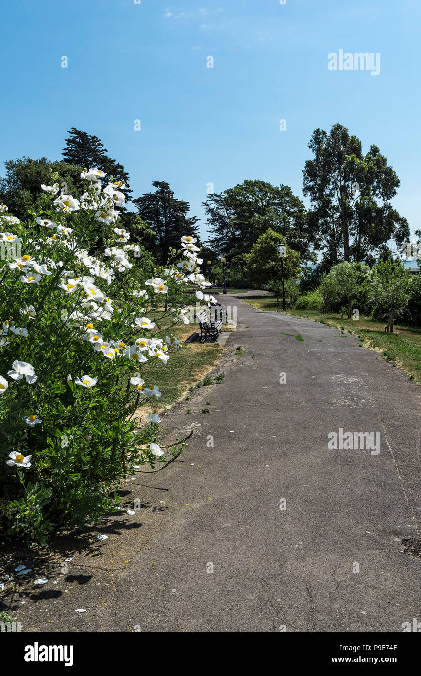 Cliff pathway hi-res stock photography and images - Alamy