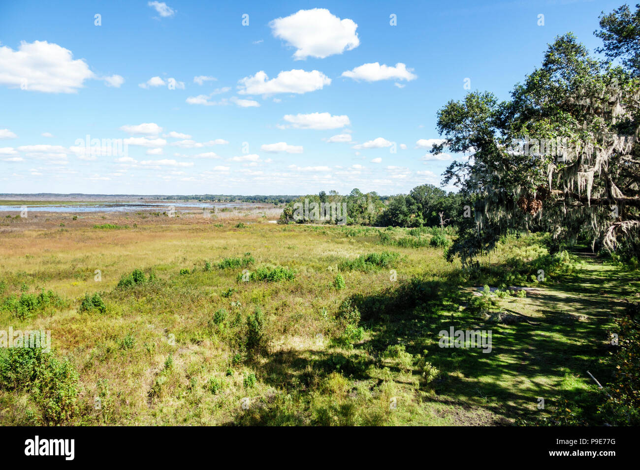 Paynes prairie basin hi-res stock photography and images - Alamy