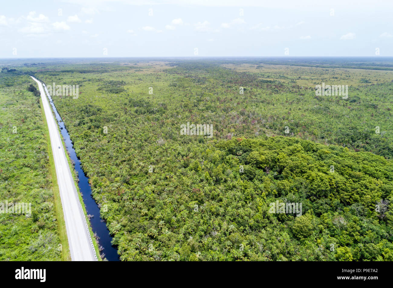 Florida,Carnestown,US Route 29 highway,Big Cypress National Preserve ...
