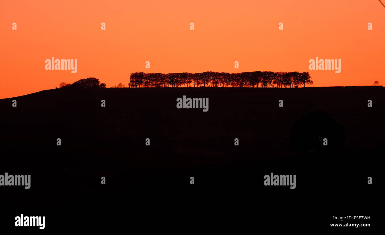 the silhouette of a line of trees on an distant hillside against an ...