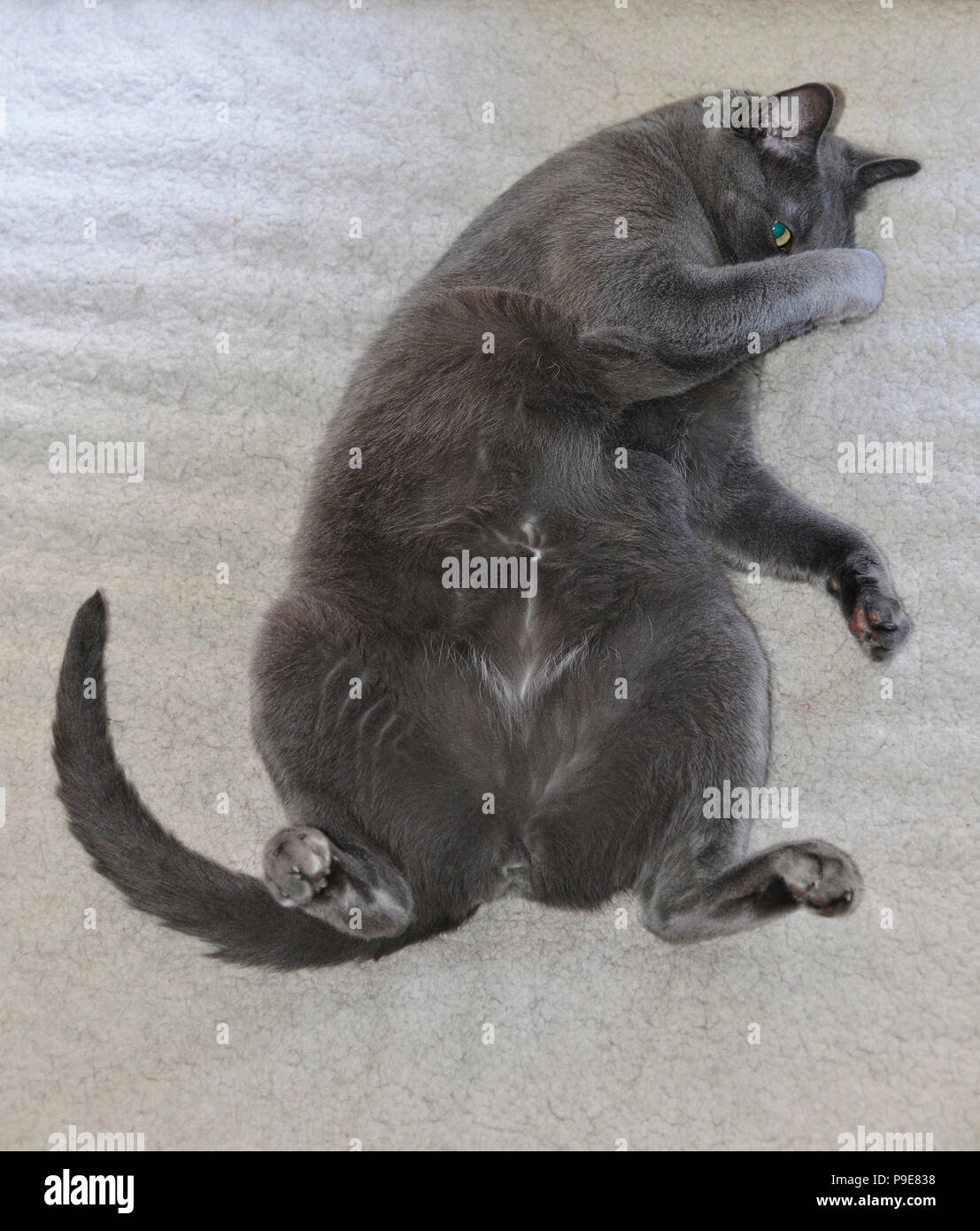 Shy personality hi-res stock photography and images - Alamy