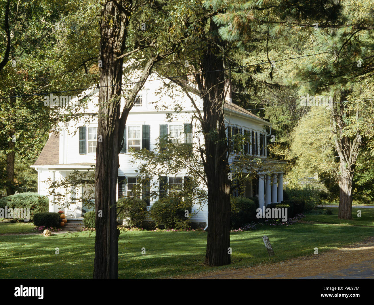 White clapboard house with green shutters in woodland in Connecticut ...