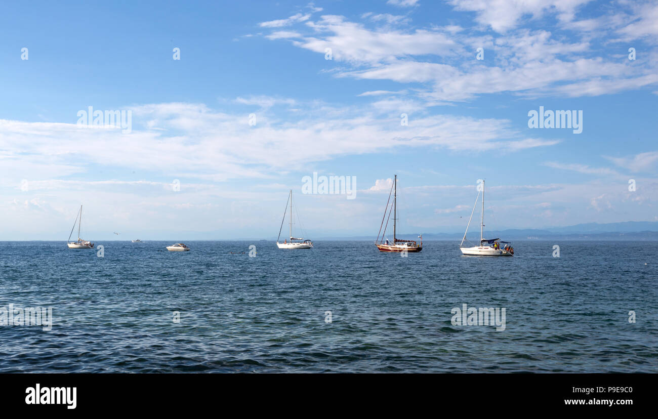Port of sailing boats Stock Photo - Alamy