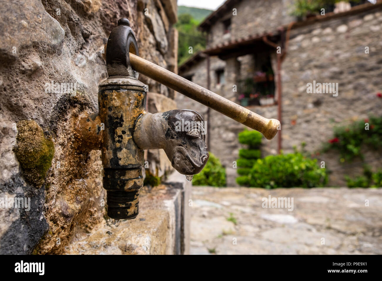 Spring water tap in the shape of a dogs head with brass handle in the ...