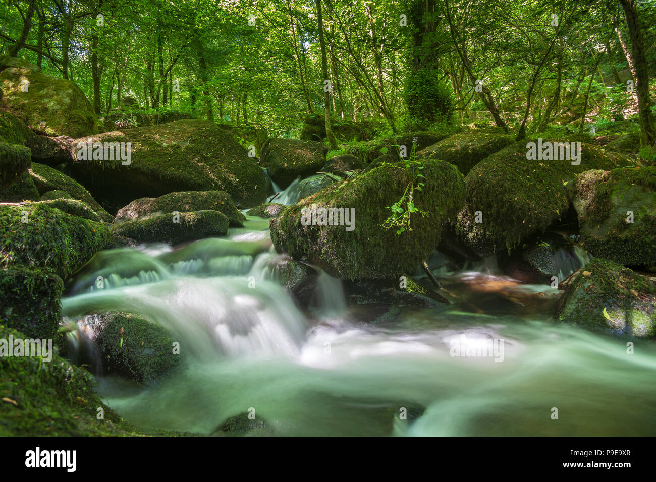 view of kennall vale cornwall nature reserve site of the old powder ...