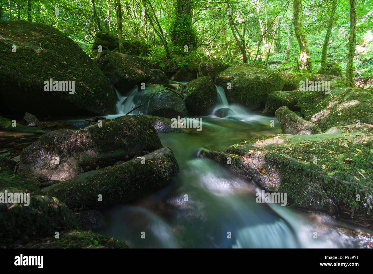 view of kennall vale cornwall nature reserve site of the old powder ...