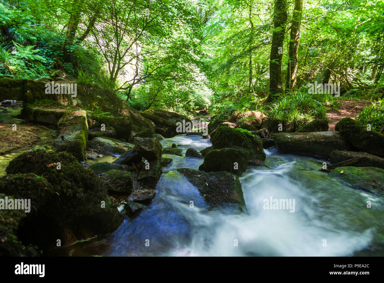view of kennall vale cornwall nature reserve site of the old powder ...