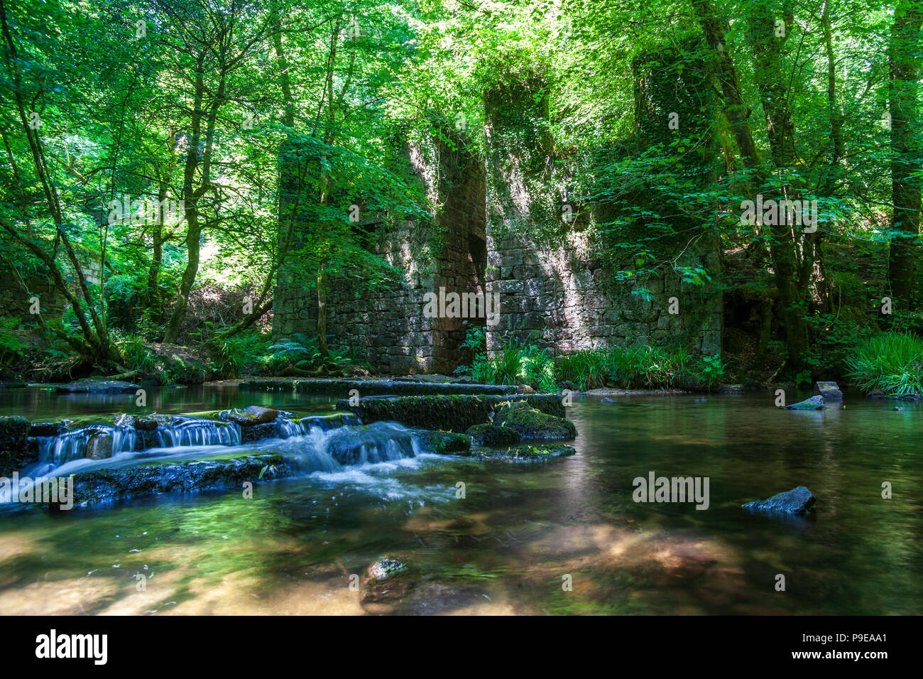 Kennall river hi-res stock photography and images - Alamy