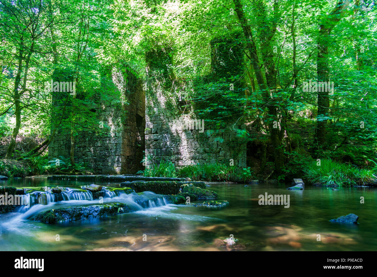 view of kennall vale cornwall nature reserve site of the old powder ...