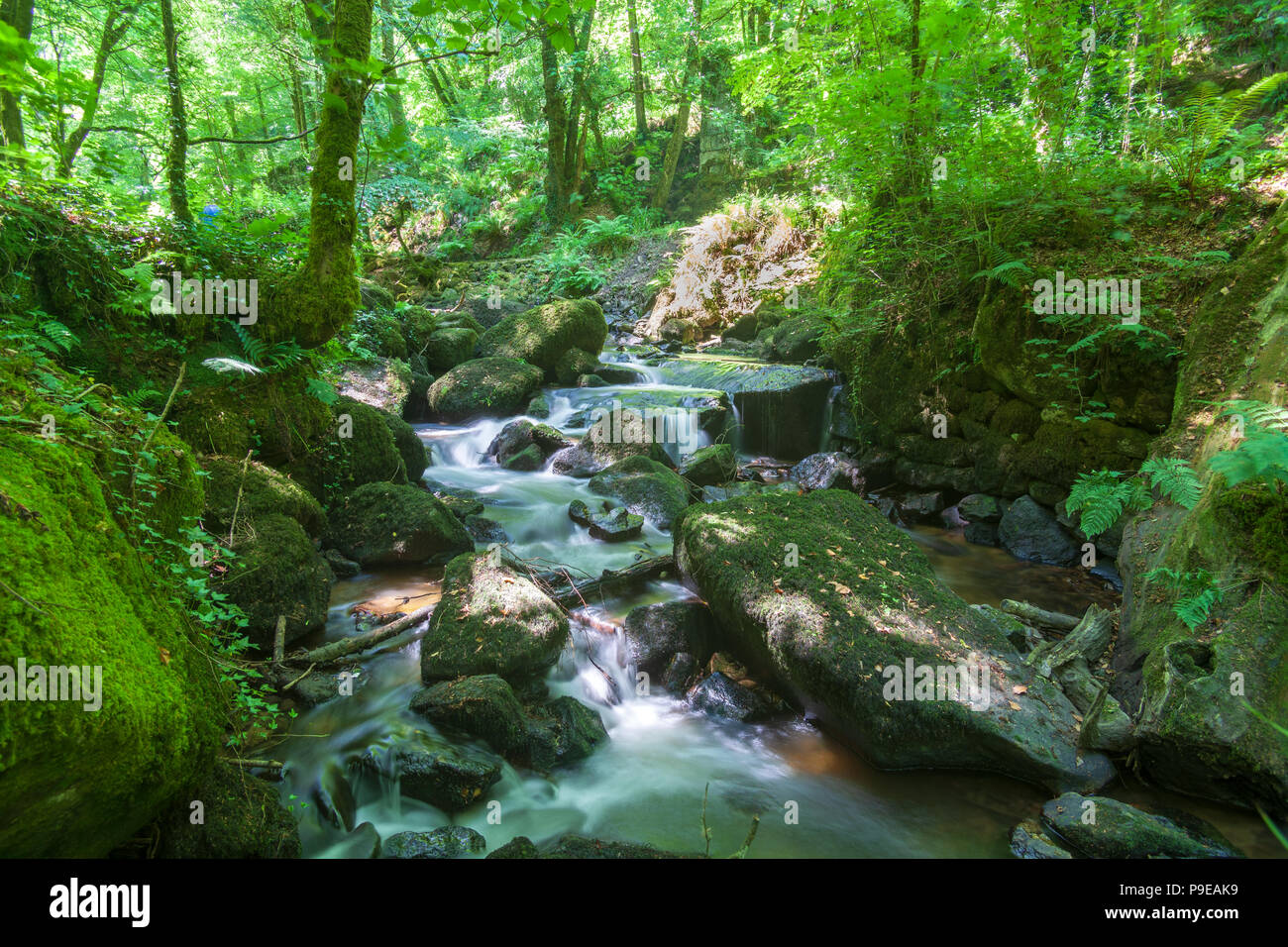 view of kennall vale cornwall nature reserve site of the old powder ...