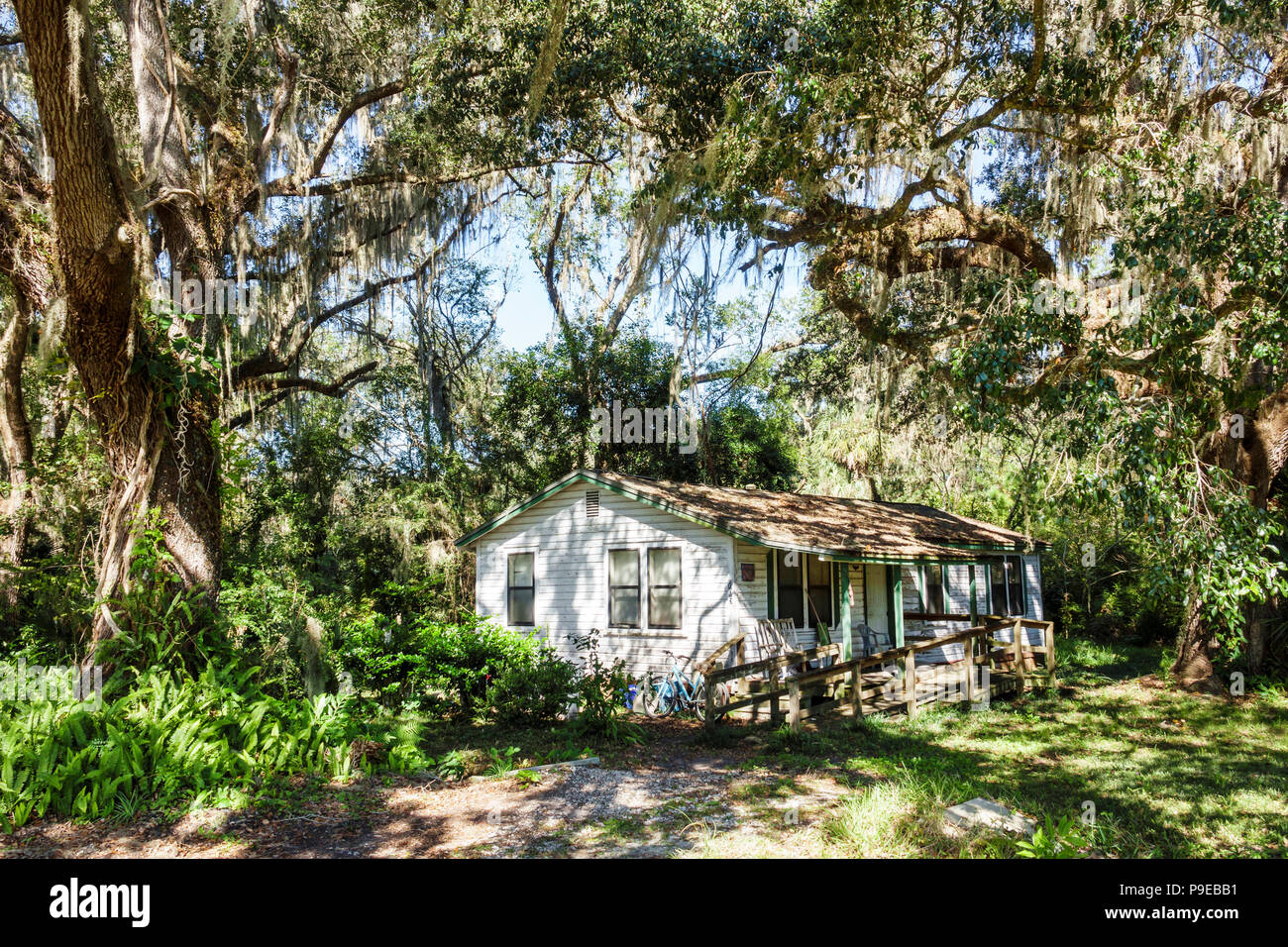 Florida,Micanopy,small town,house houses wood-frame home residence,live ...