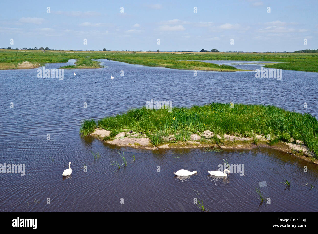 Welney wetland centre hi-res stock photography and images - Alamy