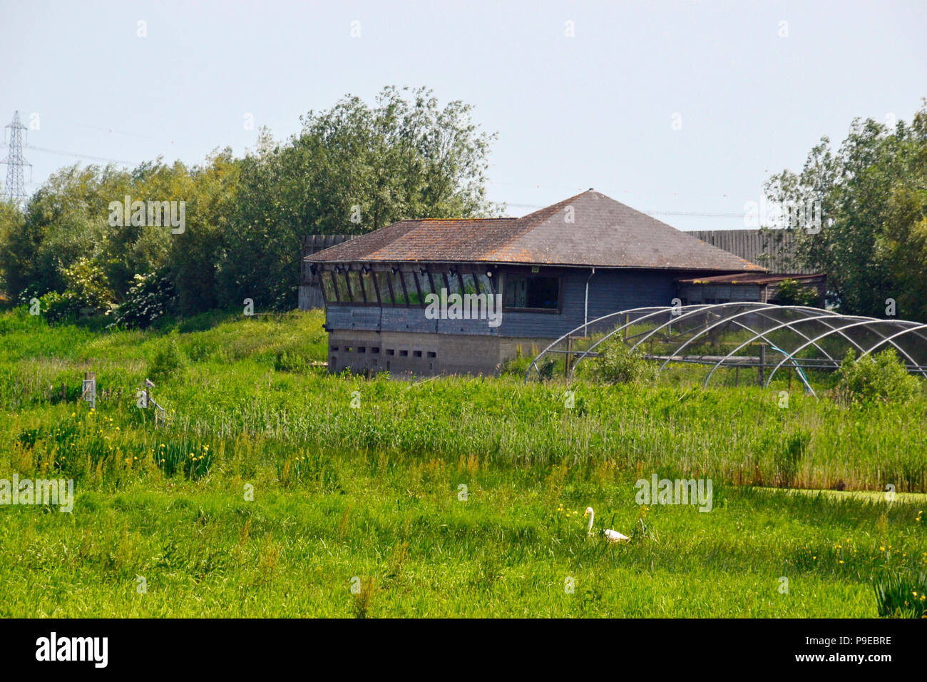 Welney Wetlands High Resolution Stock Photography and Images - Alamy