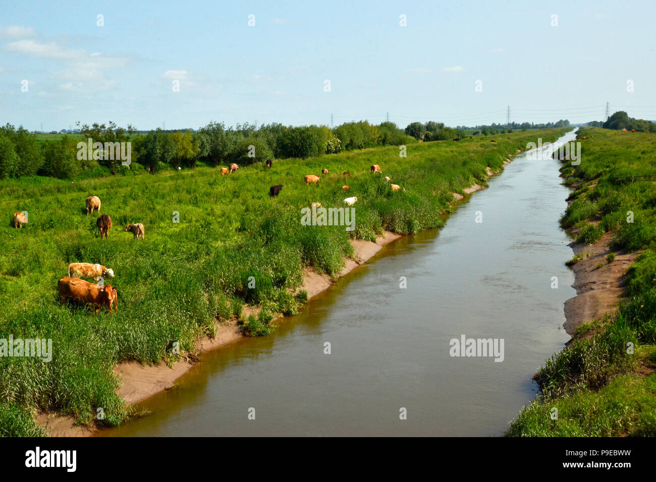 Welney hi-res stock photography and images - Alamy