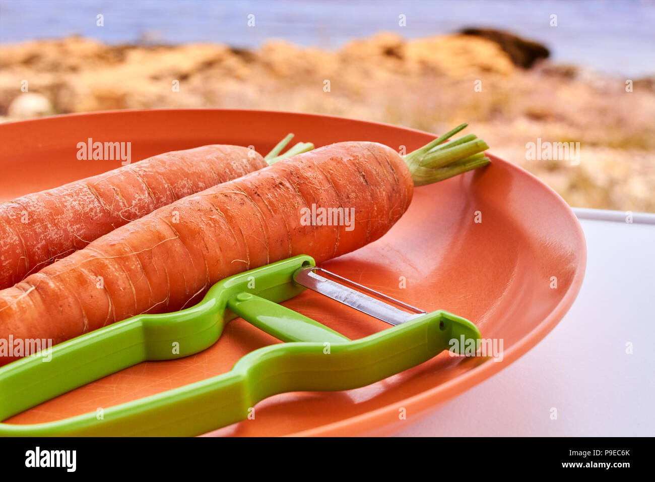 healthy carrots in the beach Stock Photo - Alamy