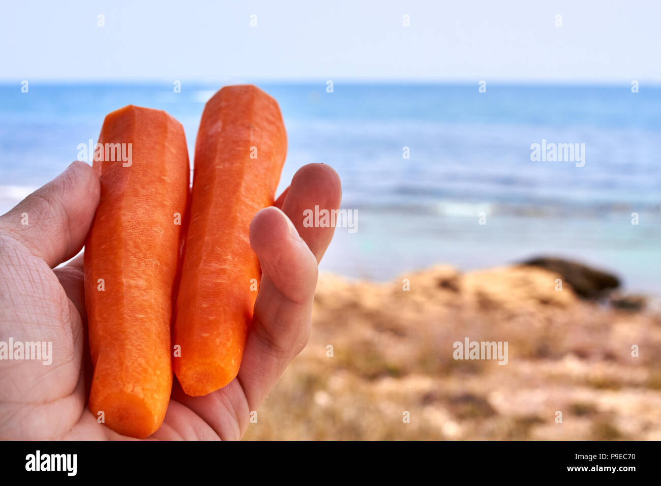 healthy carrots in the beach Stock Photo - Alamy