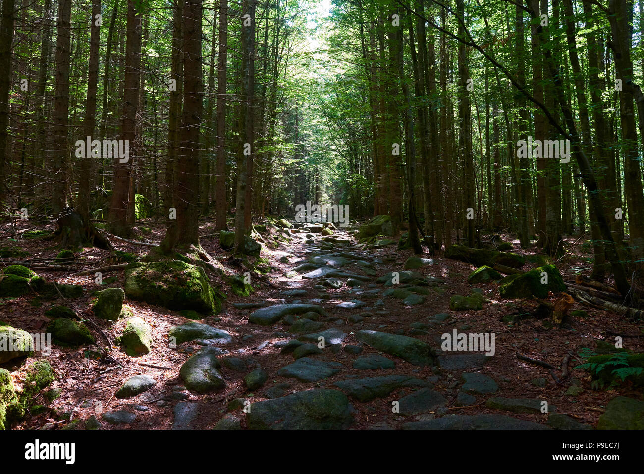 Stony pathway hi-res stock photography and images - Alamy