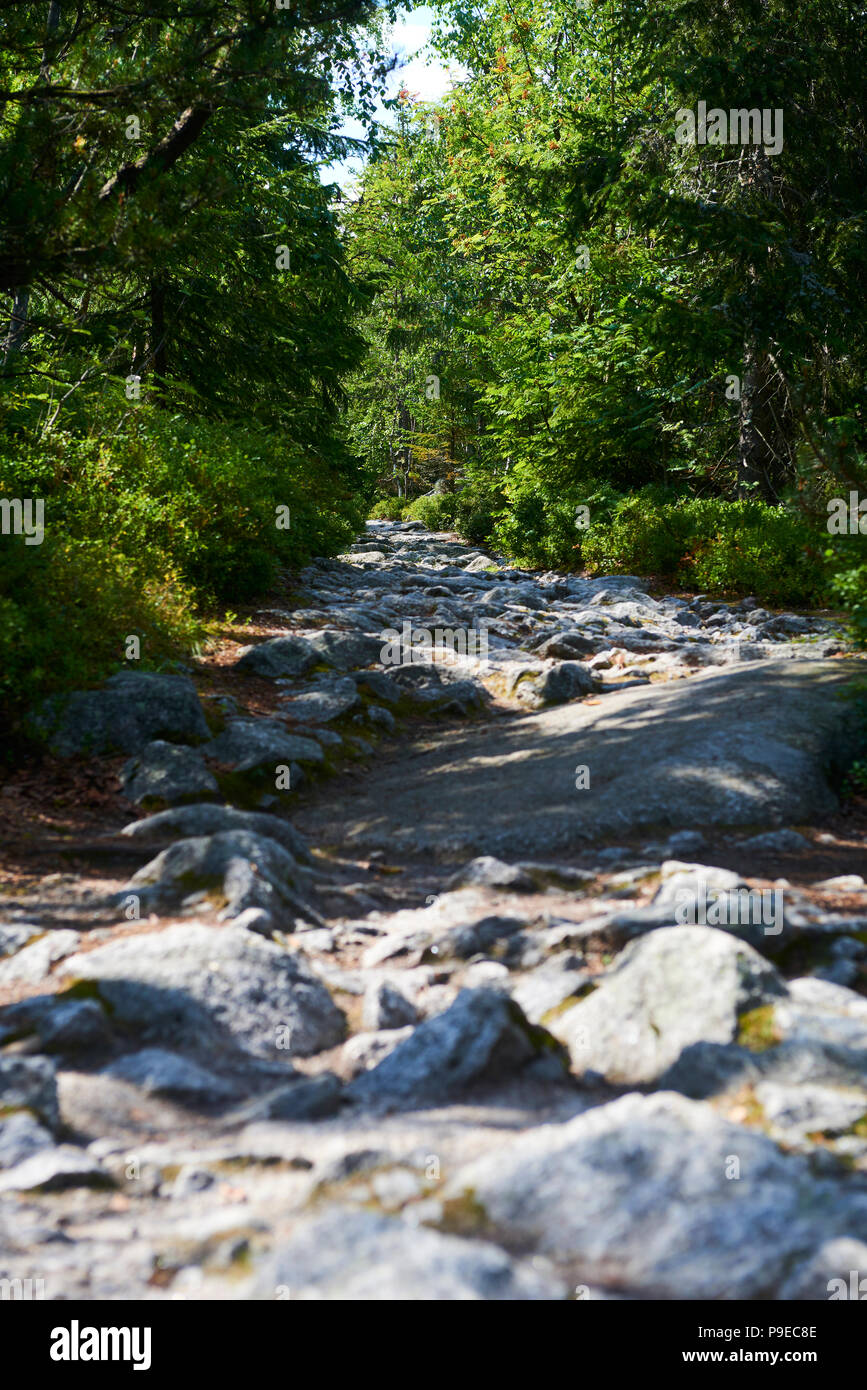 Stony pathway hi-res stock photography and images - Alamy