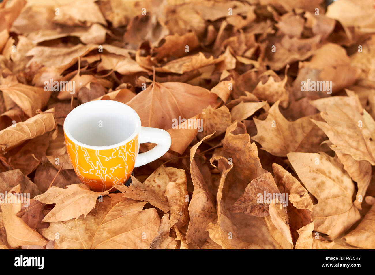 tea cup background of fallen leafs Stock Photo - Alamy