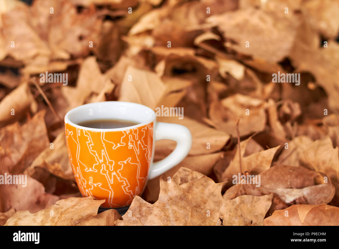 tea cup background of fallen leafs Stock Photo - Alamy