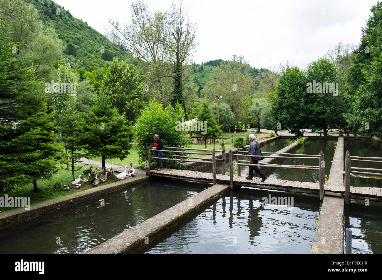 Albania, Erseke, local farm Stock Photo - Alamy