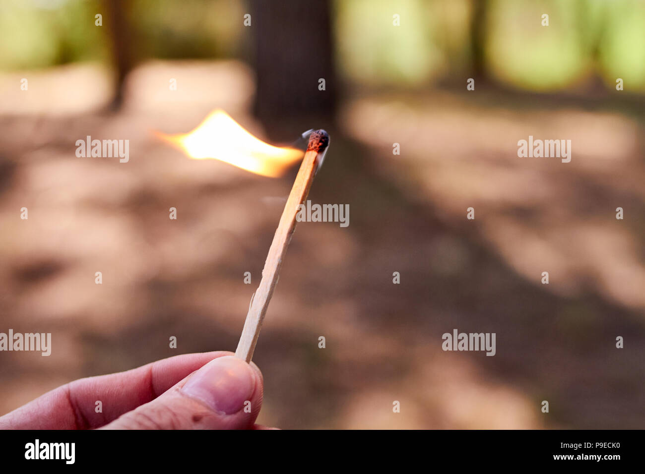 Campfire icon in forest hi-res stock photography and images - Alamy