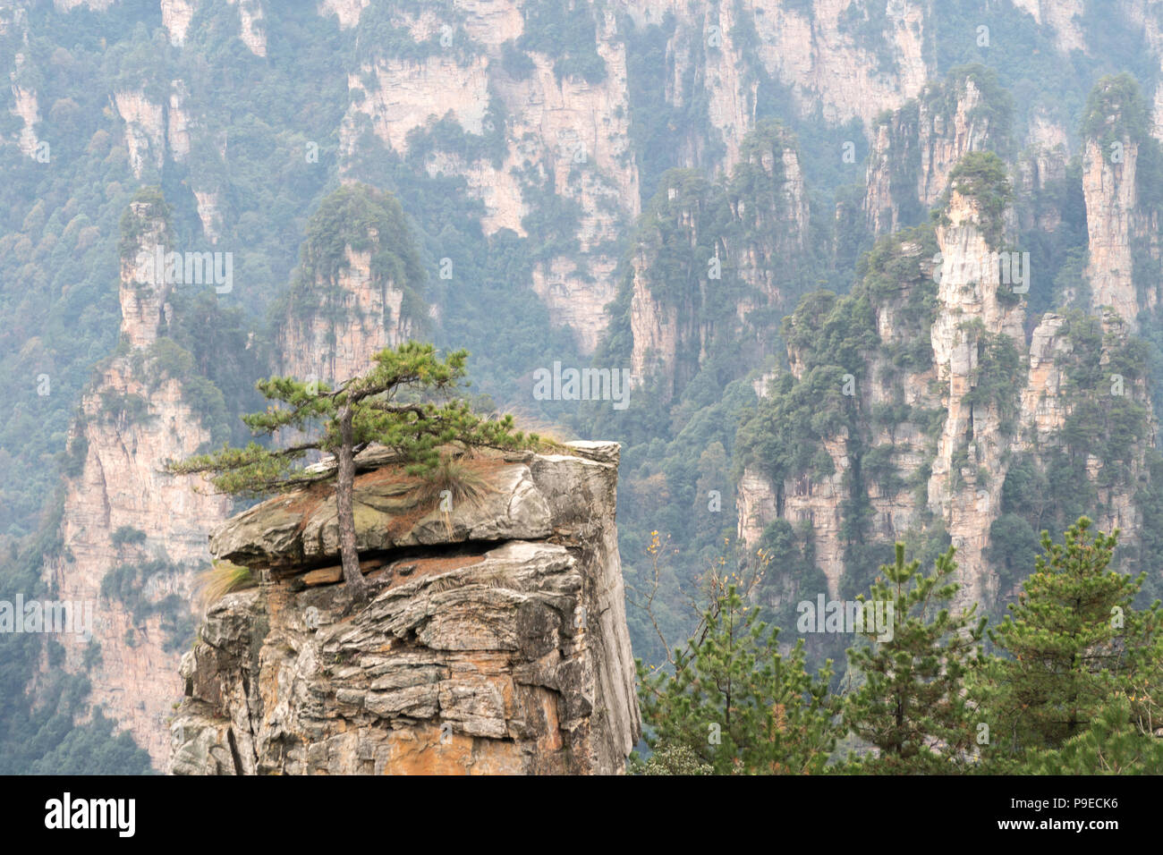 Hunan, china landscape hi-res stock photography and images - Alamy