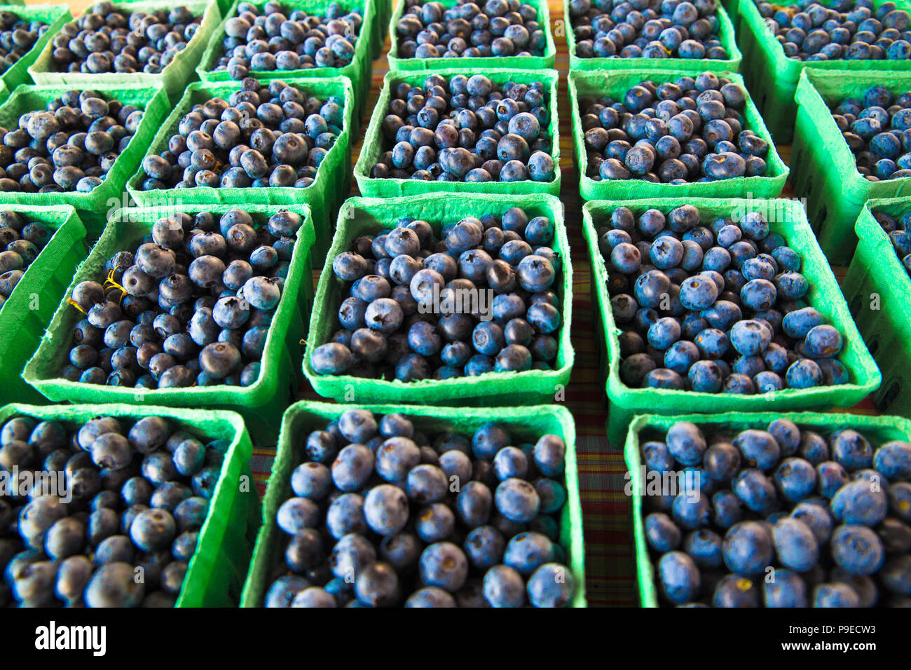 Crop of organically grown blueberries in cartons on display at farmers ...