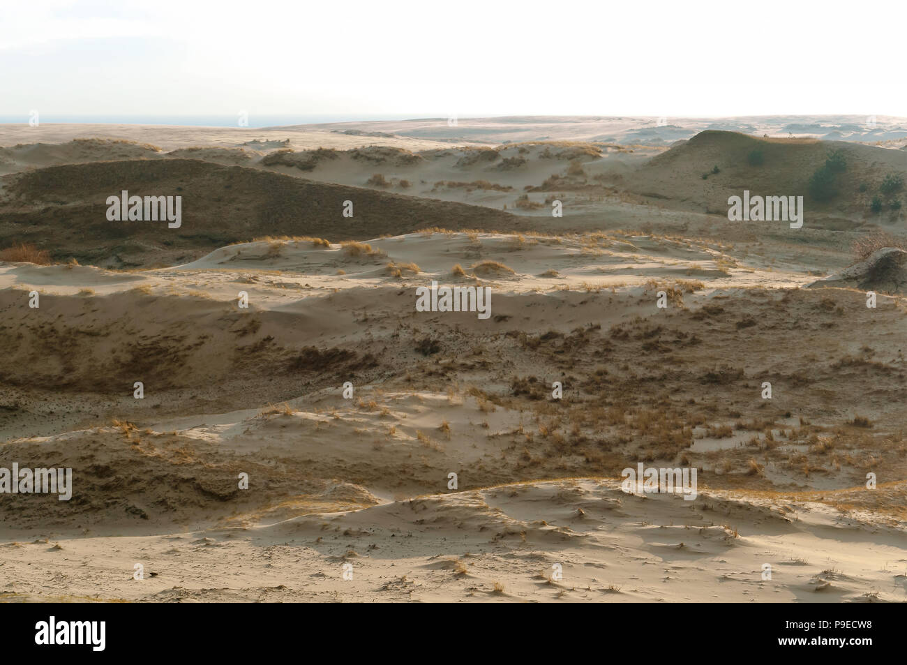 sand dune at sunset, the sea, the hills of sand in the sunlight Stock ...