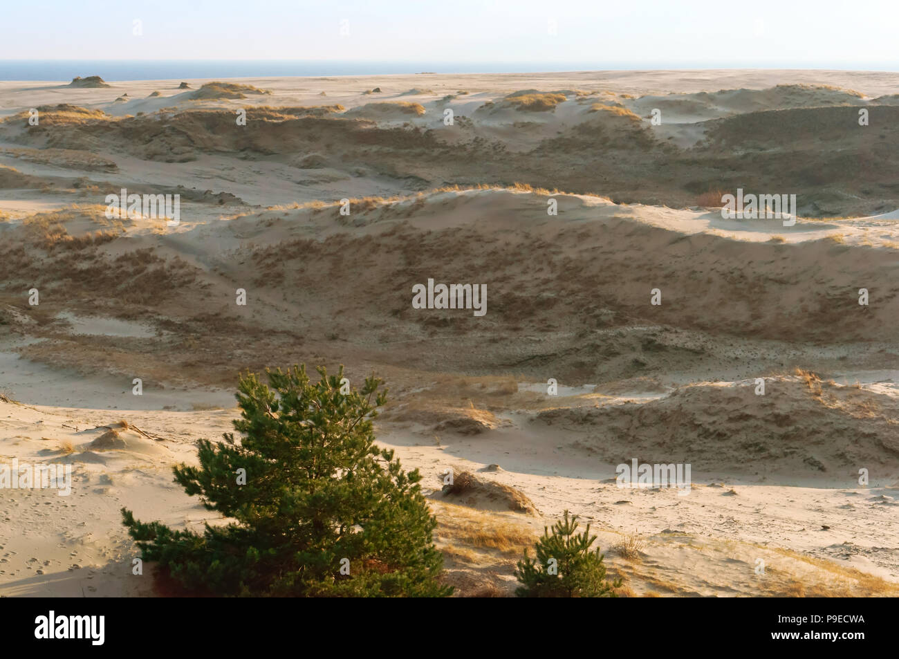 sand dune at sunset, the sea, the hills of sand in the sunlight Stock ...