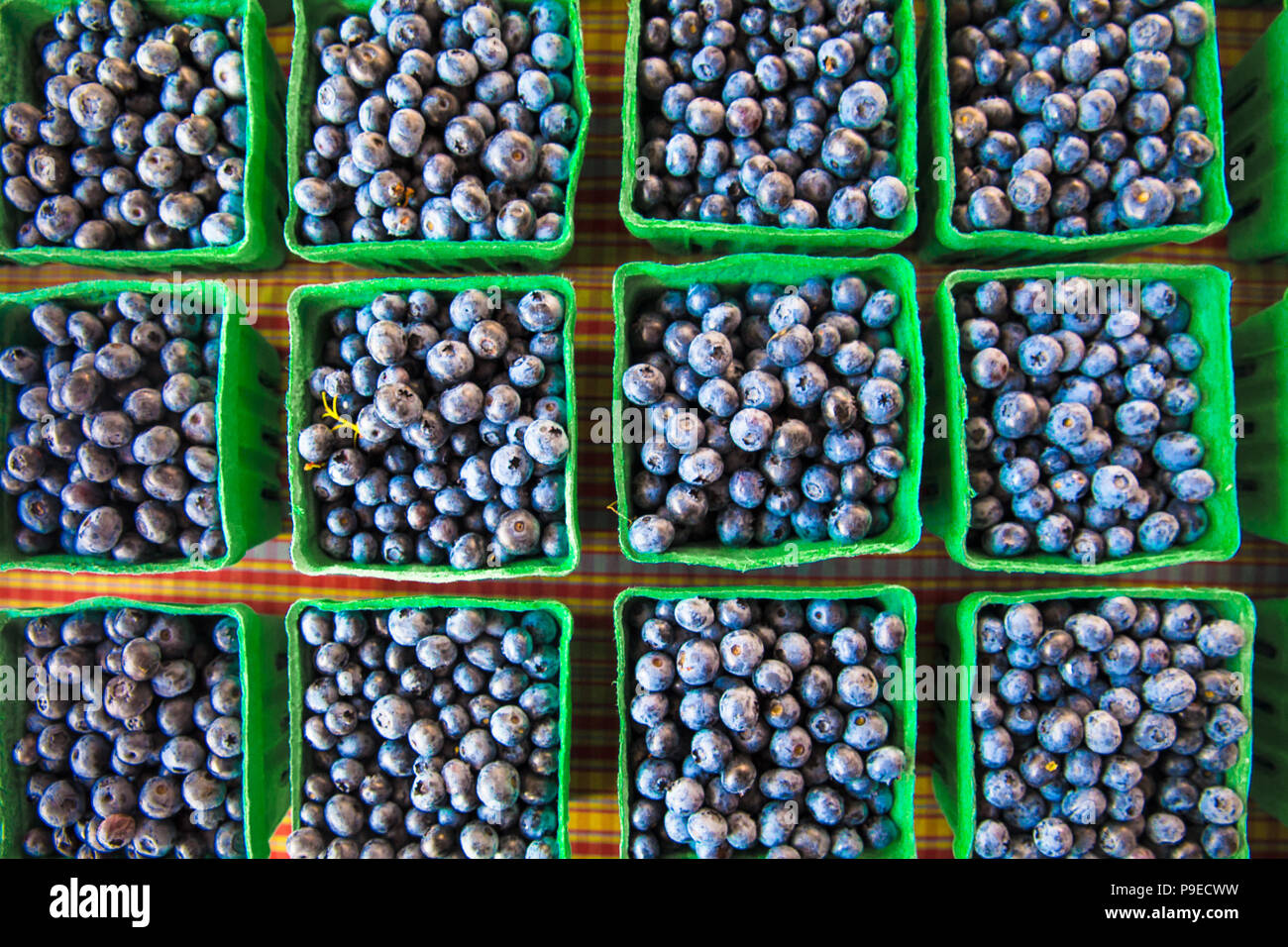 Crop of organically grown blueberries in cartons on display at farmers ...