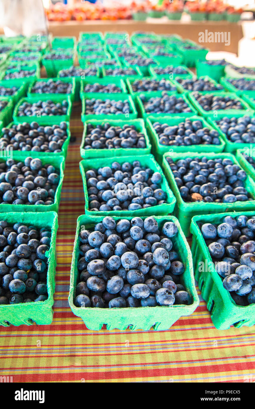 Crop of organically grown blueberries in cartons on display at farmers ...