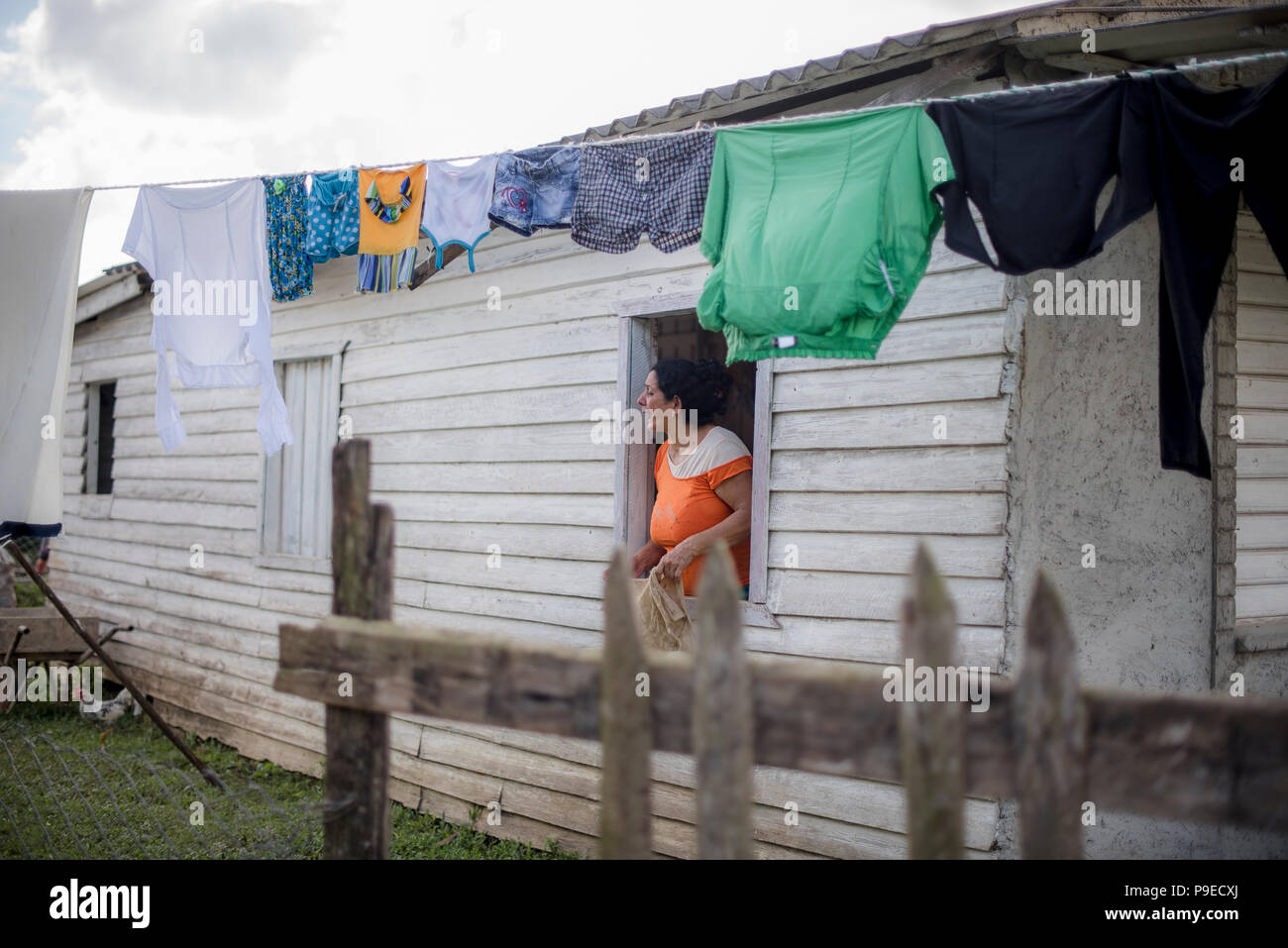 Lean out of window hi-res stock photography and images - Alamy