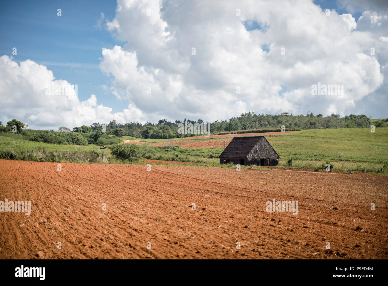 Cuban farmland hi-res stock photography and images - Alamy
