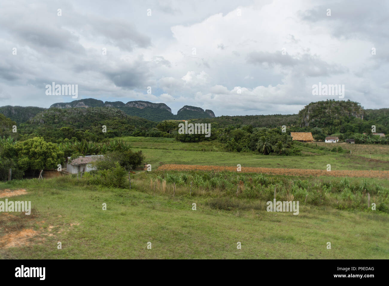 Views of the beautiful mogotes and Viñales Valley Stock Photo - Alamy