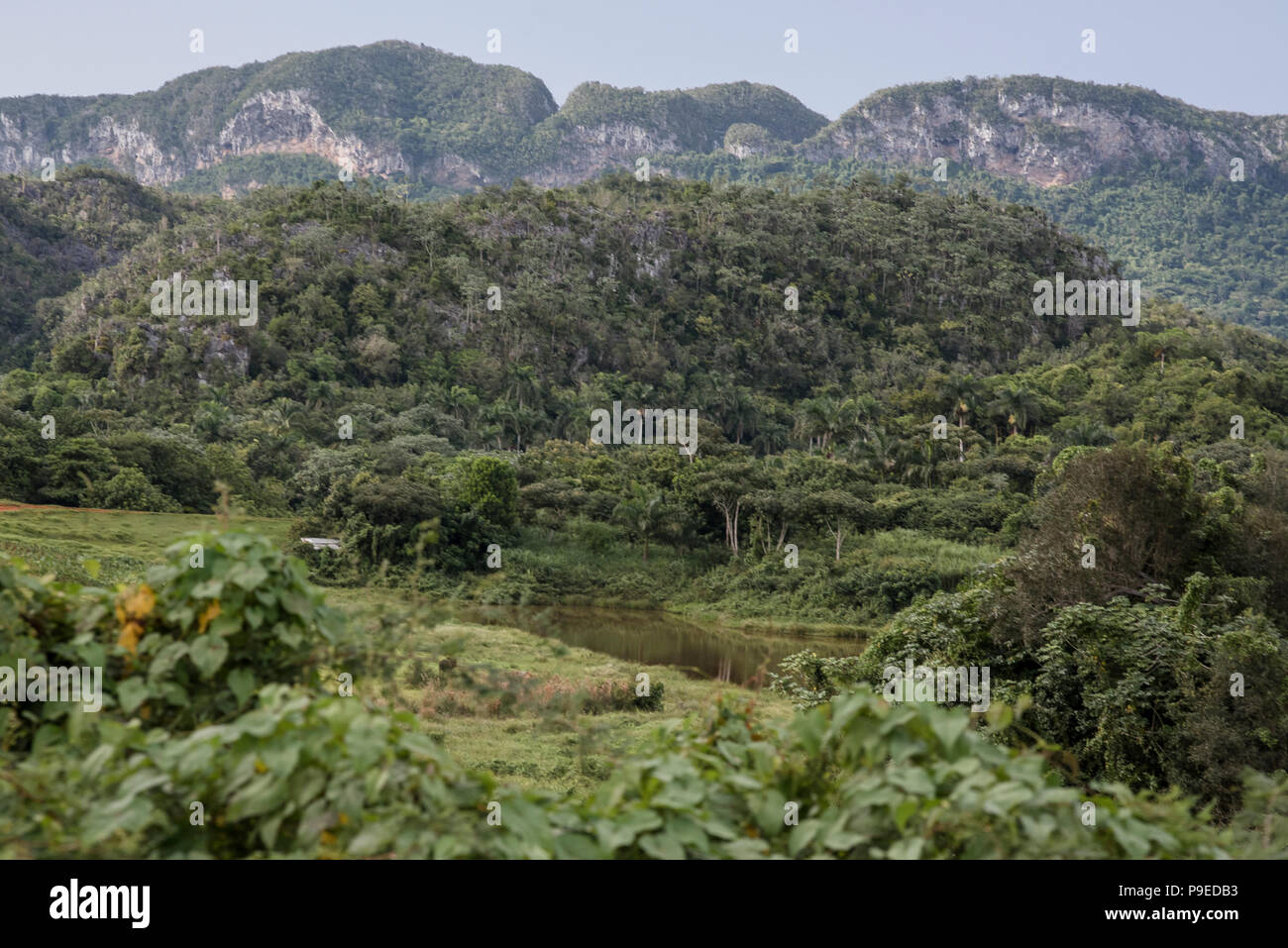 View of a valley and mogotes while hiking in Viñales, Cuba Stock Photo ...