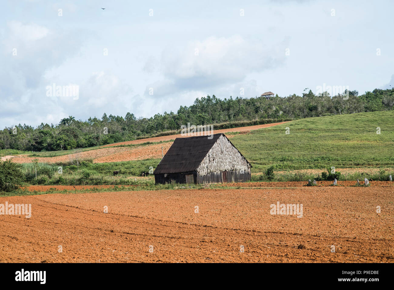 Tobacco barn plantation hi-res stock photography and images - Alamy