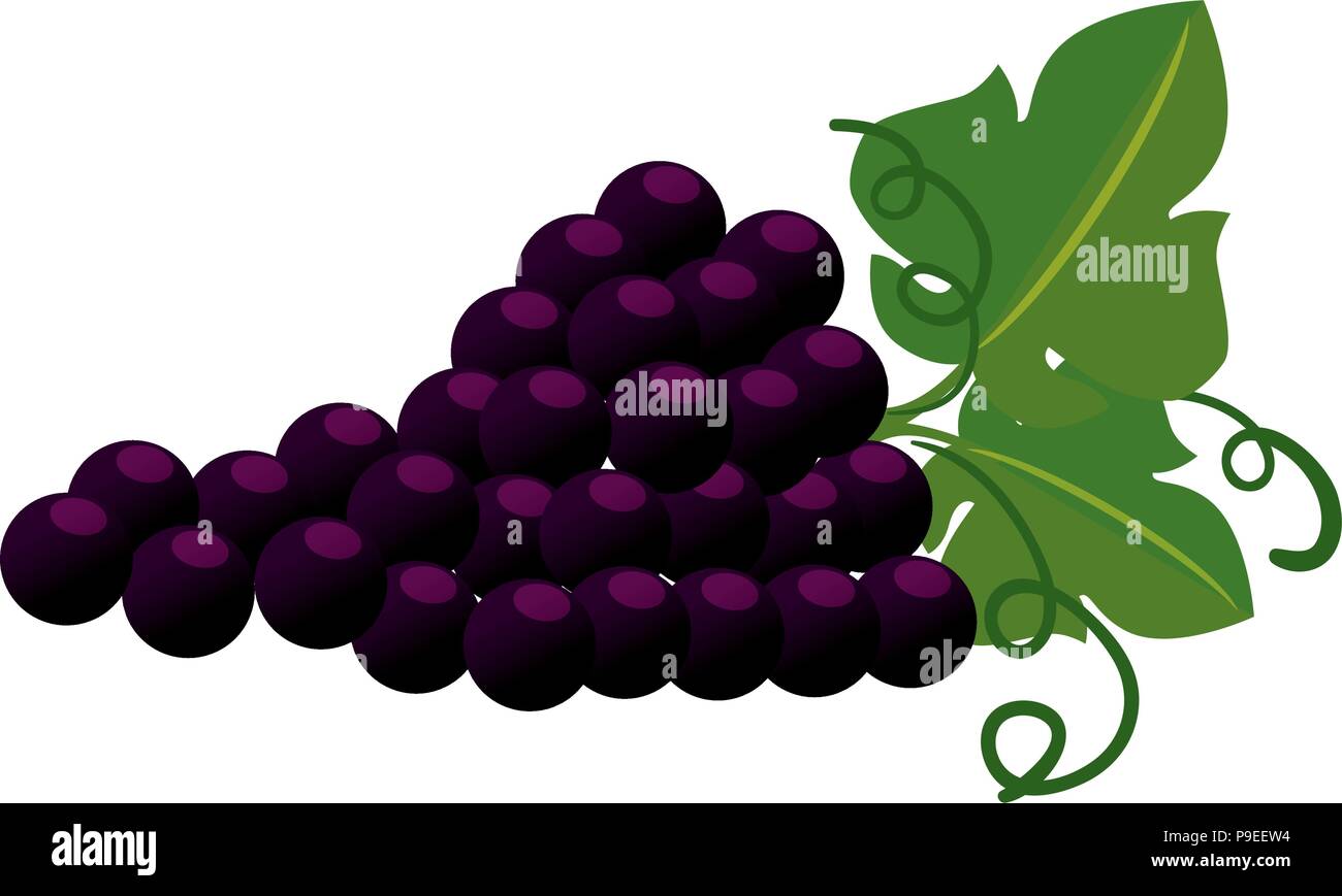 grapes cluster isolated icon Stock Vector Image & Art - Alamy