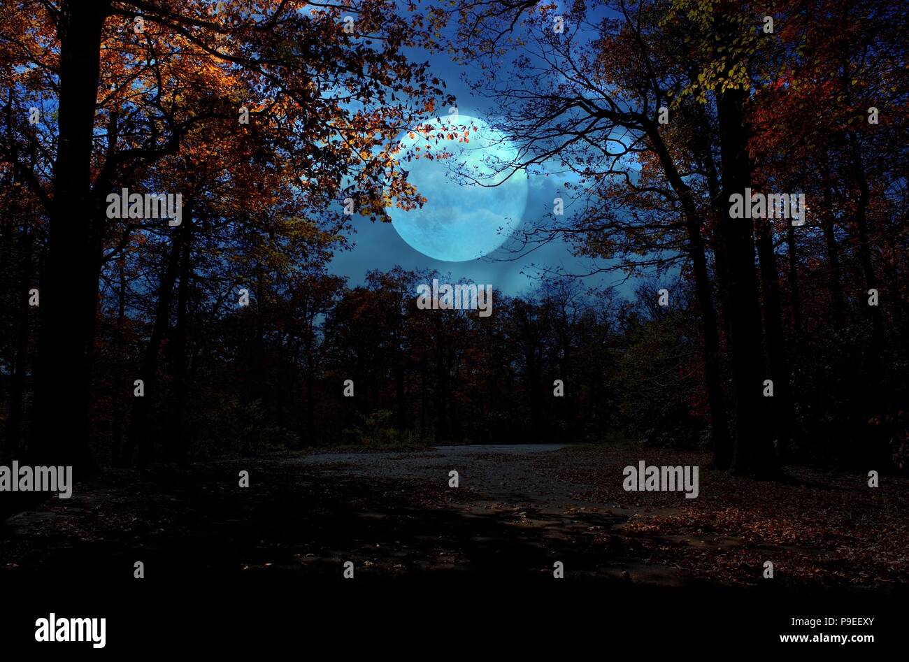 Evening autumn moon hi-res stock photography and images - Alamy