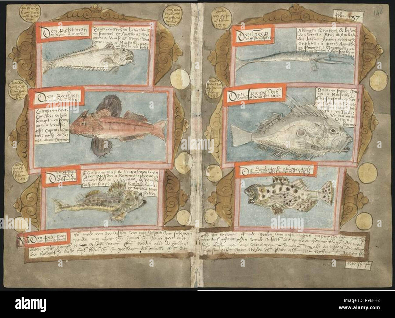 vintage maritime book page Stock Photo - Alamy