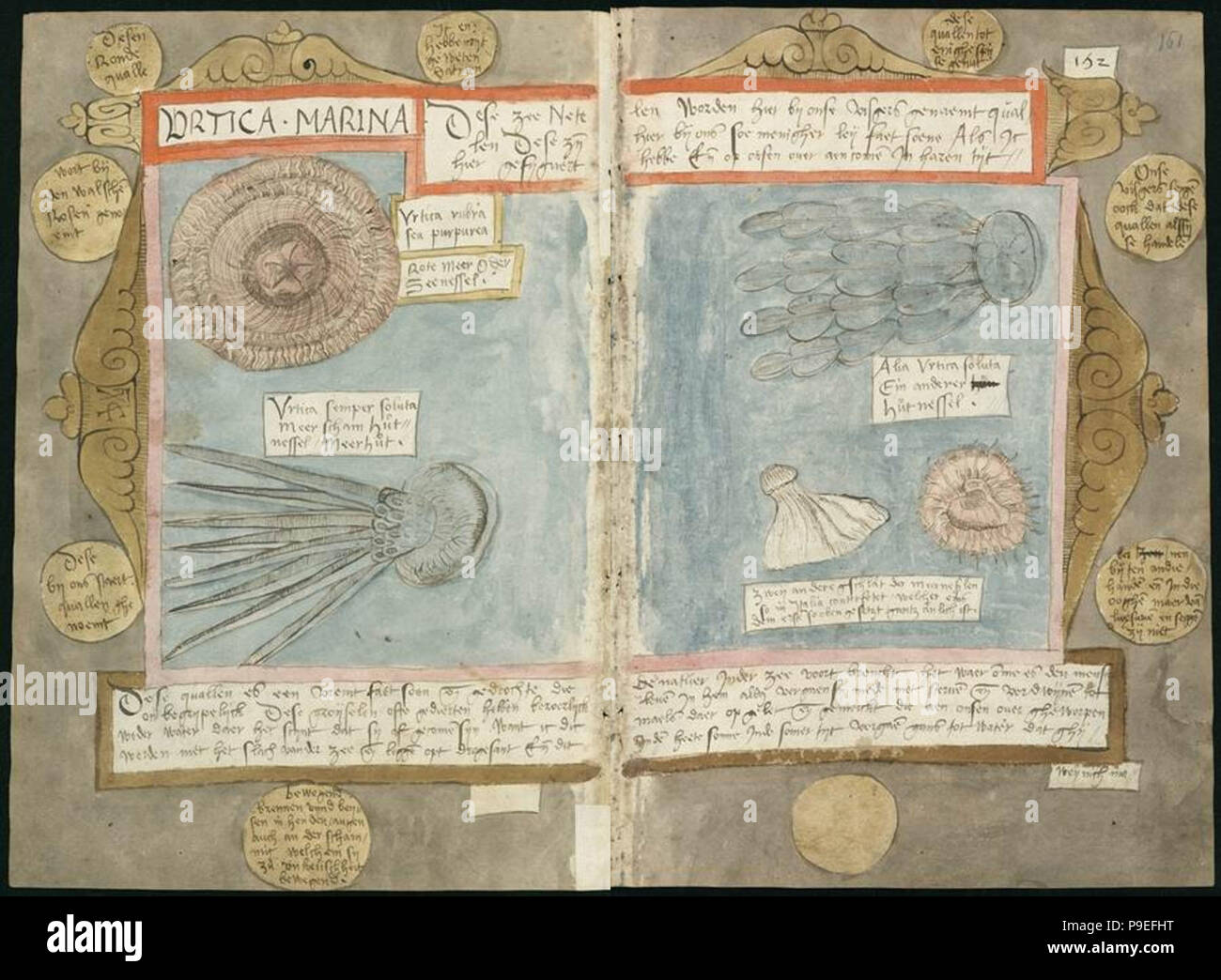 vintage maritime book page Stock Photo - Alamy