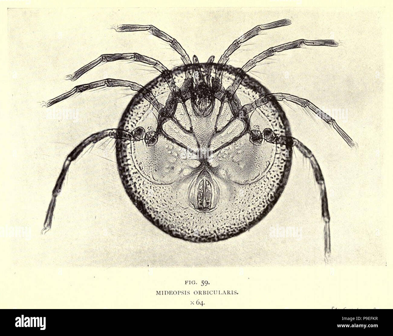 Ancient dna laboratory hi-res stock photography and images - Alamy